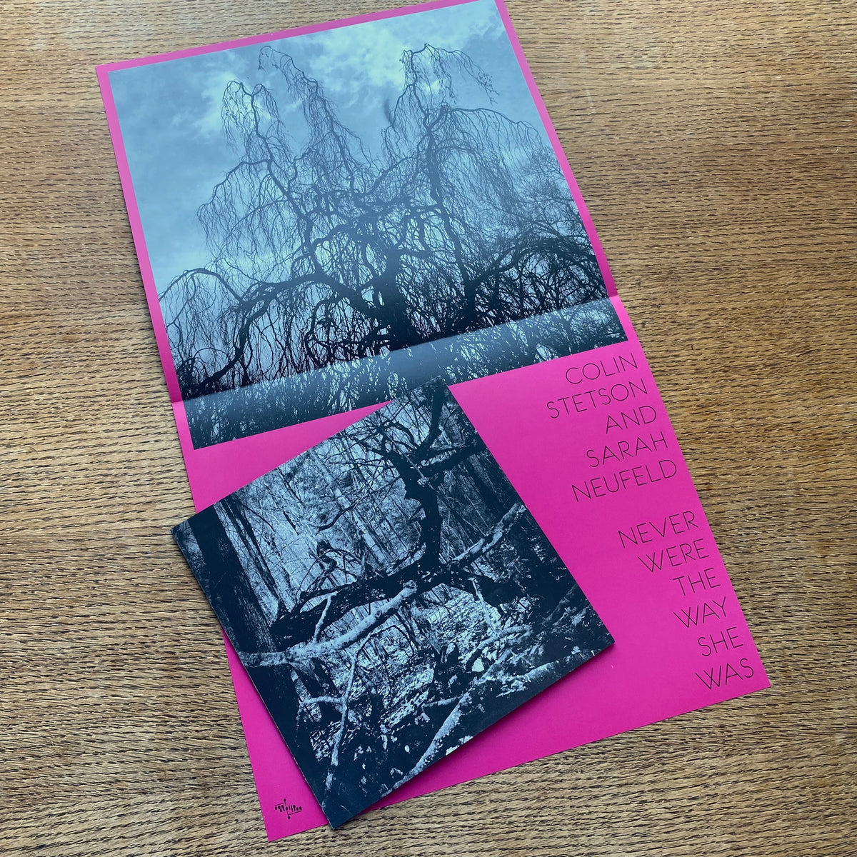 CST113 Colin Stetson and Sarah Neufeld | Never were the way she was ...