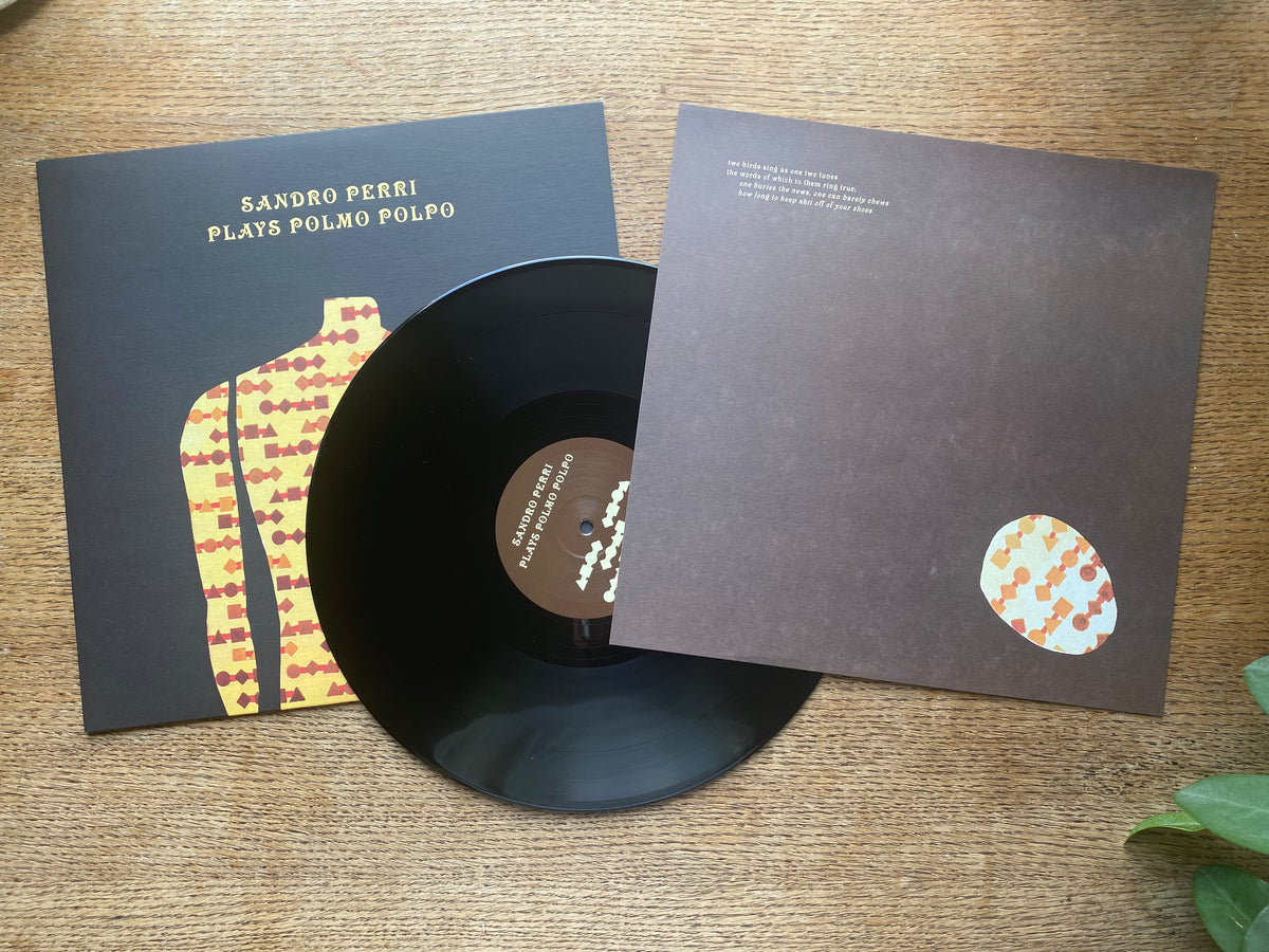 CST042 Sandro Perri | Plays Polmo Polpo – Constellation