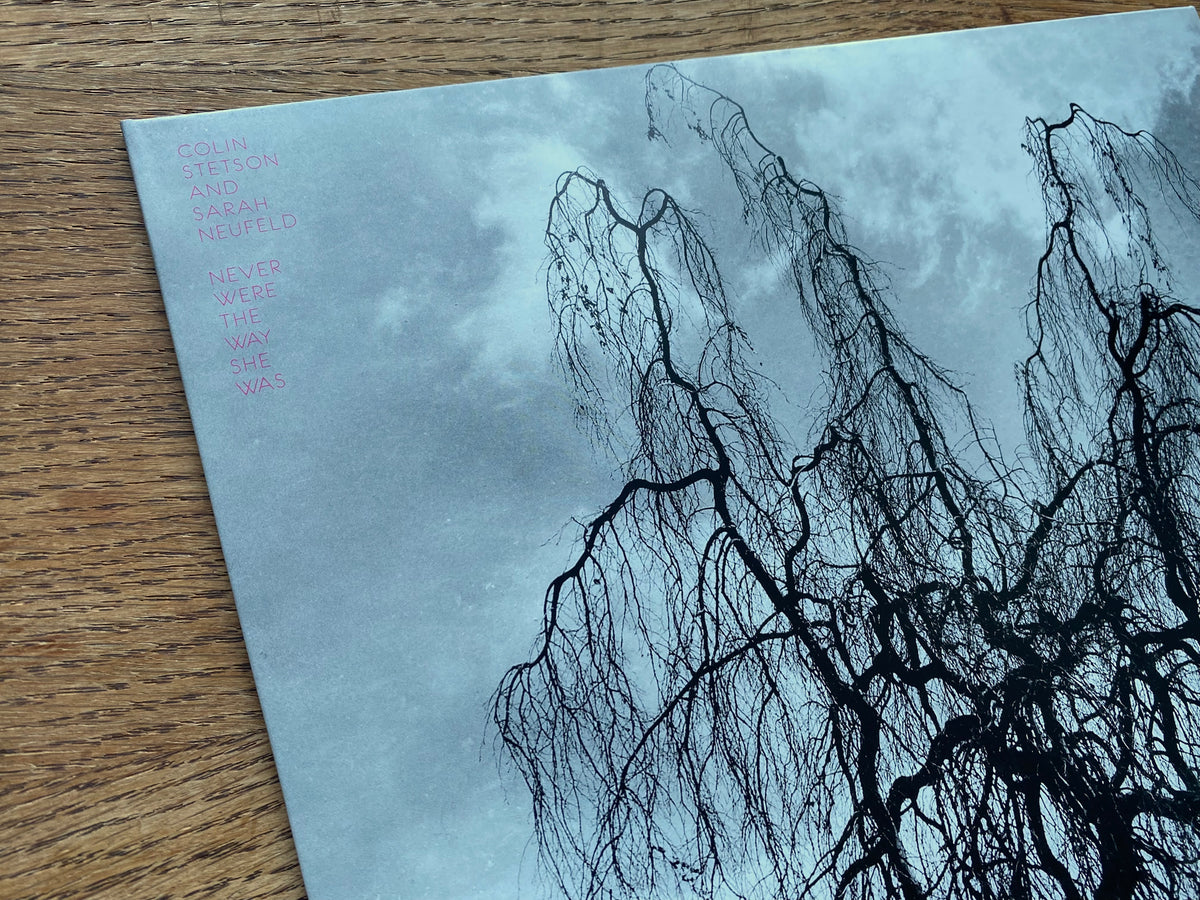 CST113 Colin Stetson and Sarah Neufeld | Never were the way she was ...